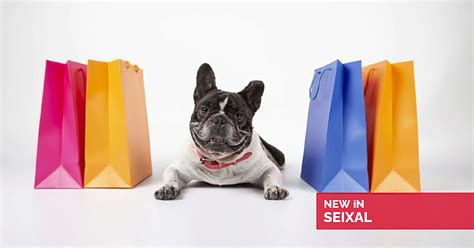 A Partir Desta Sexta Feira Já Pode Levar O Seu Cão Quando For Ao