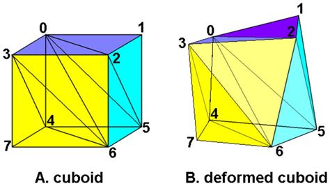 Any Hexahedron Can Be Divided Into 6 Tetrahedrons A A Cuboid Can Be Download High