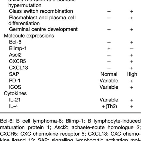 The Differences Between T Helper Cells And T Follicular Helper Cells Download Table