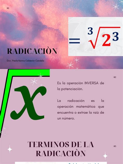 Radicacion Pdf