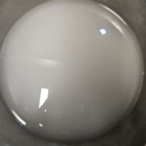 돼지고기 앞다리살 묵은지 김치찌개 맛있게 끓이는법 네이버 블로그