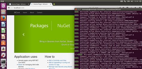 Dotnet Core开发环境搭建及简要说明 Csdn博客