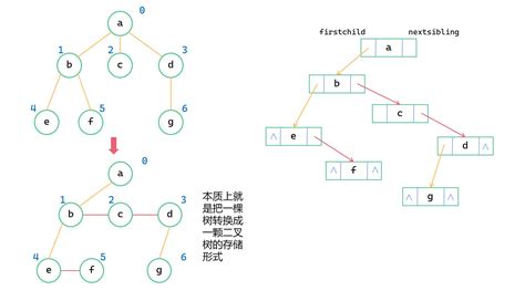 数据结构 树二叉树森林的转换 Amαdeus 博客园