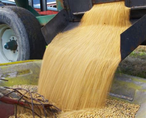 How To Make Plain Cheerios Good Leaftv