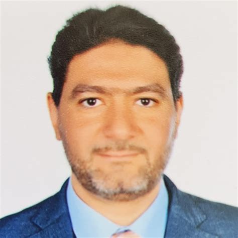 mohamed kandil cairo university vilnius vilniaus lithuania linkedin