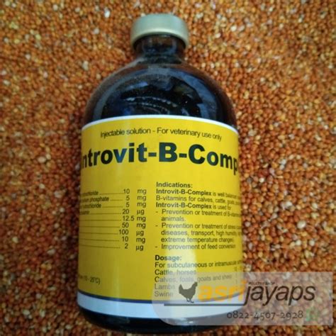 Harga Introvit B Complex Terbaru Agustus 2022 Biggo Indonesia