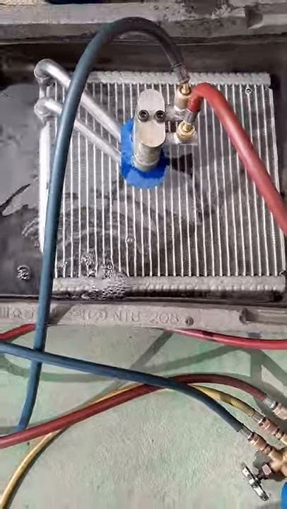 레이에바코어에바코아누설 Youtube