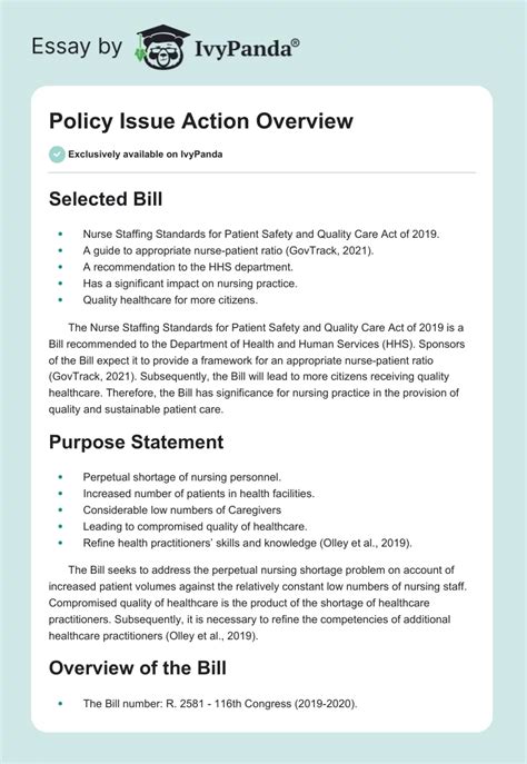 Policy Issue Action Overview Words Essay Example
