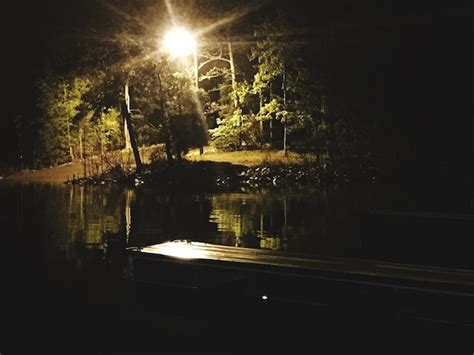 Premium Photo Reflection Of Trees In Water At Night