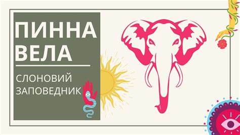 Пиннавела Слоновий заповедник на Шри Ланке Youtube