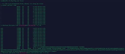 How To Use The Linux Dig Command With Examples