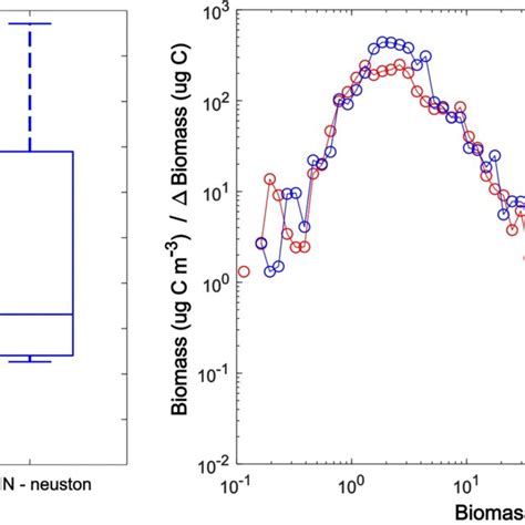Abundance Ind M⁻³ And Normalized Biomass Size Spectra Nbss Of The
