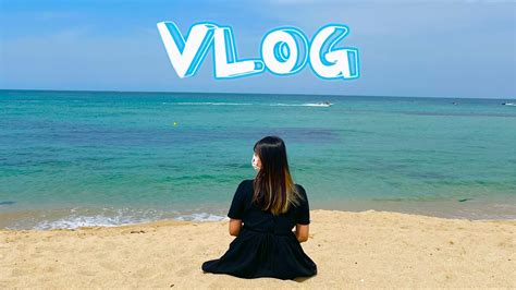 Vlog 강릉 여행이라 쓰고 술 여행 이라 말한다 🍻 Youtube