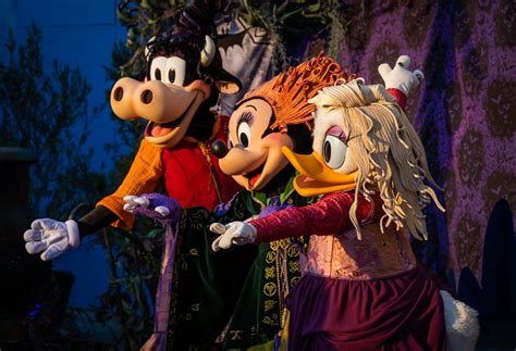 We Met The Sanderson Sisters At Oogie Boogie Bash Disney Halloween