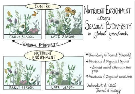 Nutrient Enrichment Alters Seasonal β Diversity In Global Grasslands
