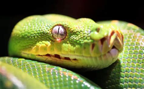 how to git stash for python a beginner s guide