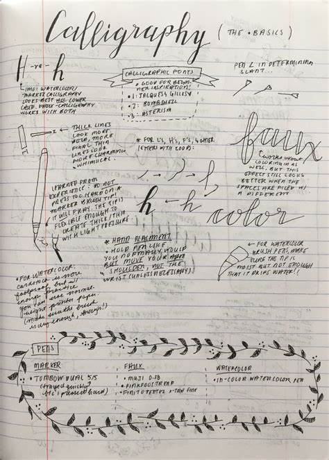 Study Guide Verified