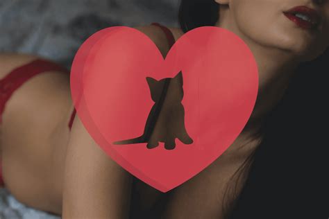 7 Basic Commands Kitten