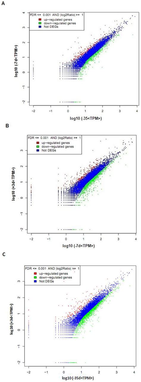 Pairwise Comparisons Of The Level Of Gene Expression Between Download Scientific Diagram