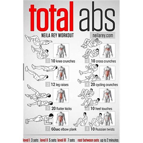 Thebestgymworkouts — 🚹🚺 Different Ab Exercises Hit Different Parts Of