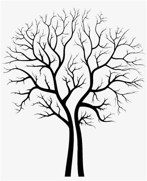 Tree Png Image Tree Drawing Transparent Background Free Clip Art Library