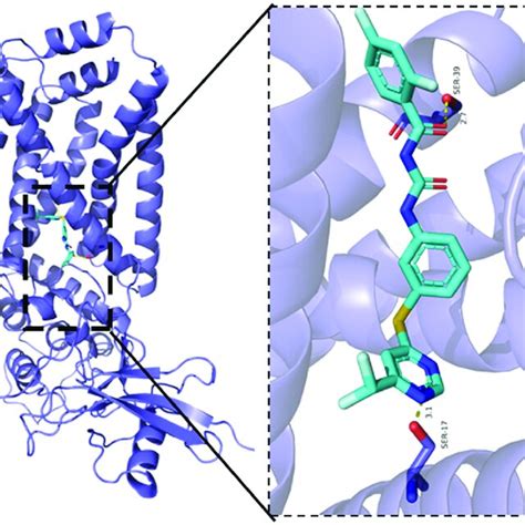 The Docking Binding Mode Of Compound 4l To Sdh Download Scientific
