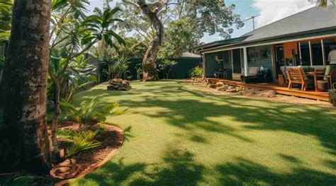 Complete Guide To Professional Tree Removal Services In Brisbane