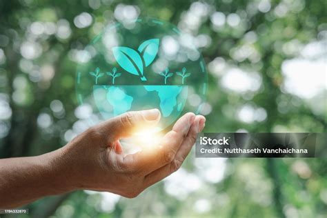 행성 지구 생태계 기후 변화 성장 잎 환경 보호 에코 자연 에코 1990 1999 년에 대한 스톡 사진 및 기타 이미지