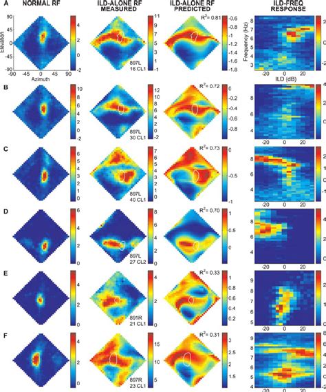 Contribution Of Ild To Spatial Rfs Rows A F Show The Data From Six