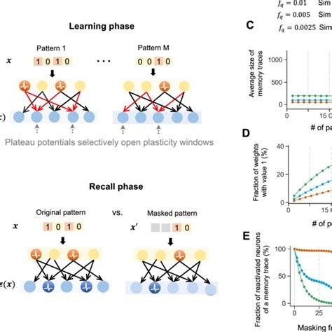Pdf A Simple Model For Behavioral Time Scale Synaptic Plasticity Btsp Provides Content