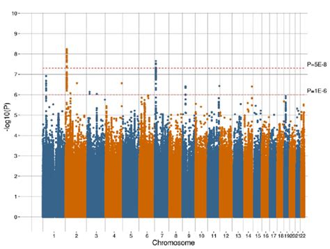 manhattan plot of the observed log 10 p values of each variant for an