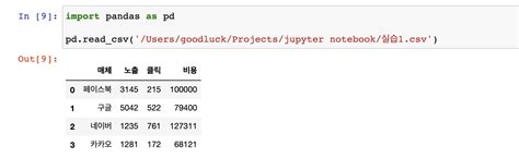 5 판다스로 엑셀 데이터 불러오기 xlsx csv 파일