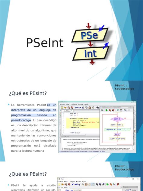 pseint pdf