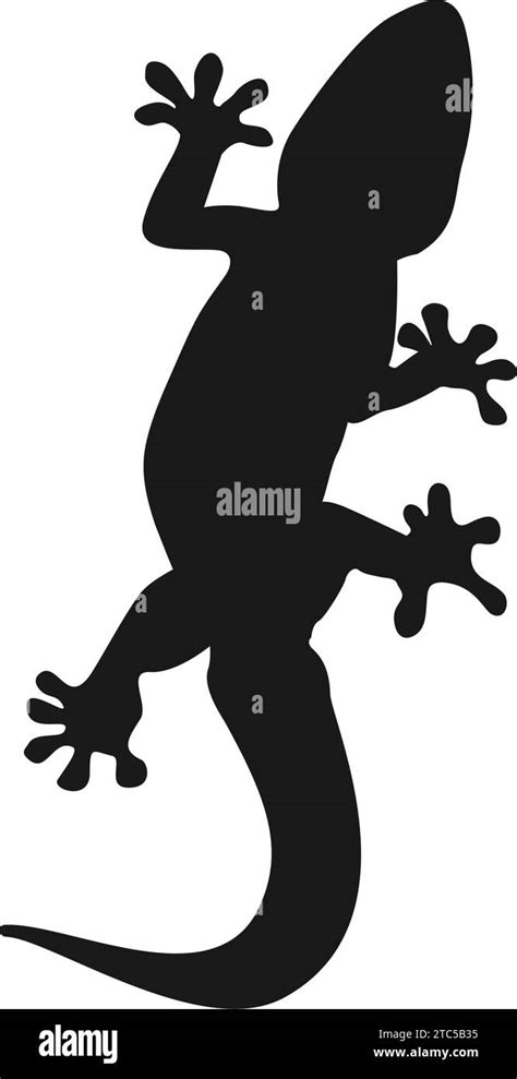 Lizard Vector Stock Vector Images Alamy