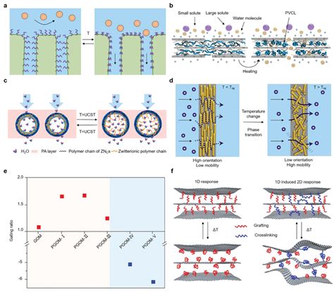 Size Sieving Of The Thermo‐responsive Membrane A Schematic