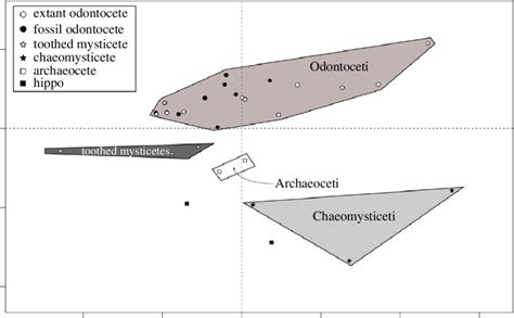 Pca Of Linear Cochlear Measurements Following The Protocols Of Download Scientific Diagram