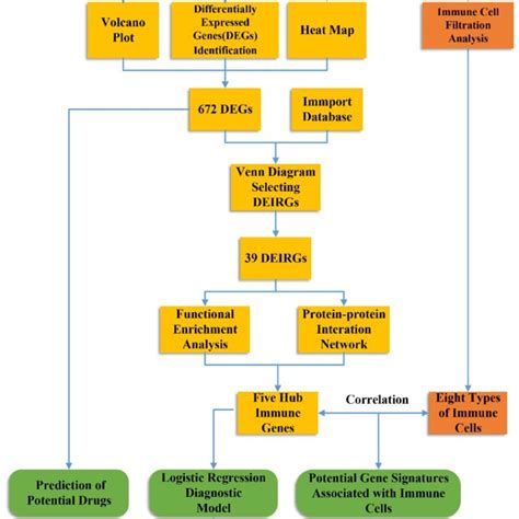 flowchart of the integrated analysis download scientific diagram