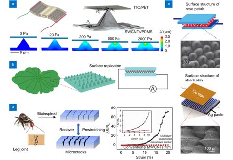 Piezoresistive Design And Manufacture With Singular Structure A Download Scientific