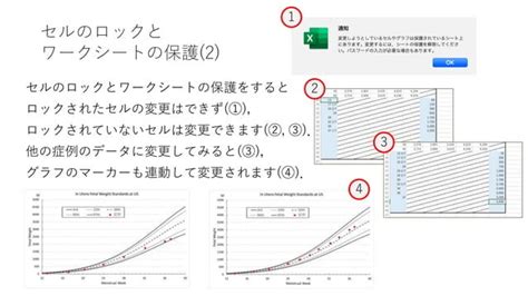 Excelで成長曲線作成 Ppt