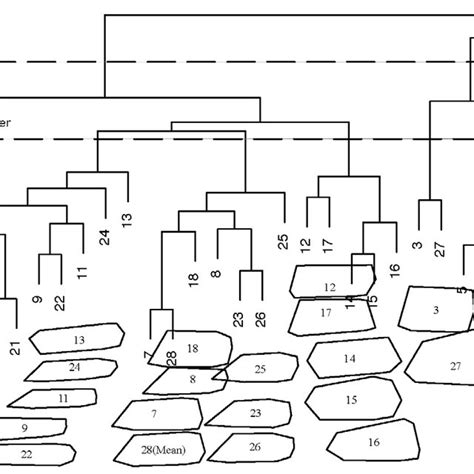 Shape Cluster Analysis Result Download Scientific Diagram