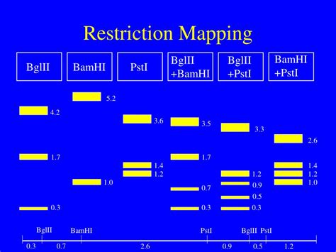 Ppt Week 11 Mapping Powerpoint Presentation Free Download Id433565