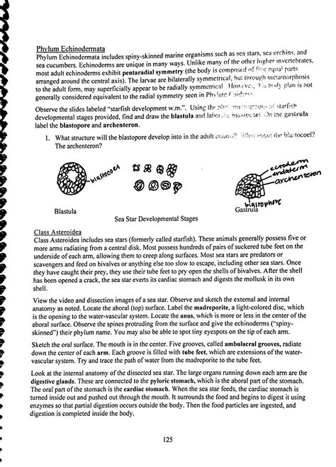 Week Lab Prelab For Chm L CHM L Studocu