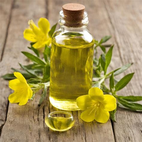 Unlocking The Power Of Nature 10 Surprising Remedies For Menopause