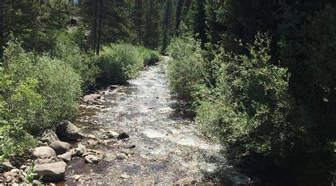 Vail Pass Path 2025 All You Need To Know Before You Go With Reviews