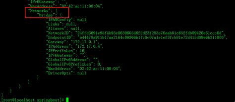Docker部署启动错误需要手动进入Docker的容器里启动程序排查错误 八戒 博客园