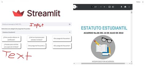 view pdf in streamlit using streamlit streamlit