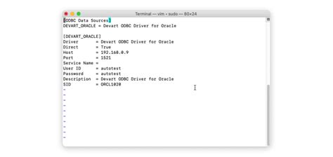 Installing And Configuring Odbc Drivers On Macos A Complete Walkthrough