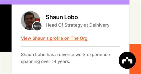Shaun Lobo Head Of Strategy At Delhivery The Org