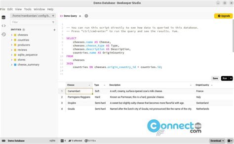 How To Install Beekeeper Studio SQL Editor And Database Manager On Ubuntu CONNECTwww