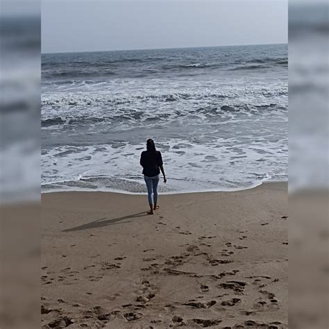 Dhara Savaliya Web Designer Grella Industries Linkedin